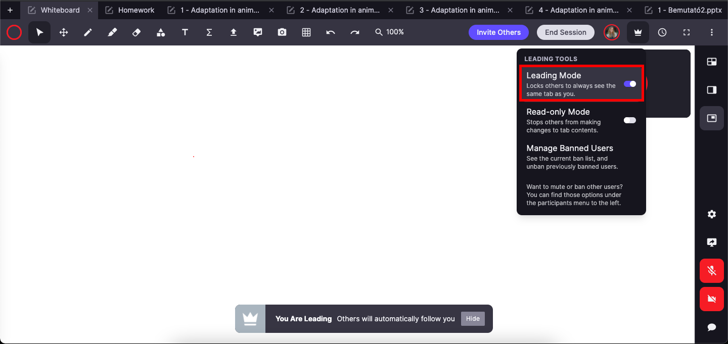 Lessonspace Teaching Tools – Dojo Tutor